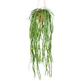 Kunstpflanze Rhipsalis Crispata Gr&uuml;n ca. 80cm