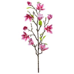 Magnolie Pink ca. 83cm