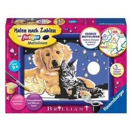Ravensburger Malen nach Zahlen, funkelnder Sternenhimmel