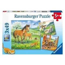 Puzzle Ravensburger Kuschelzeit 3 X 49 Teile