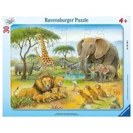 Rahmenpuzzle Ravensburger Afrikas Tierwelt 30 Teile
