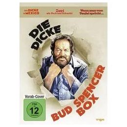 Die Dicke Bud Spencer Box [3 DVDs]