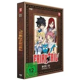 Fairy Tail - TV-Serie - Box 1 (Episoden 1-24) [4 DVDs]