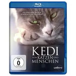 Kedi - Von Katzen und Menschen