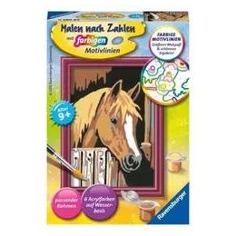 Ravensburger Malen nach Zahlen, Pferd im Stall, Malset