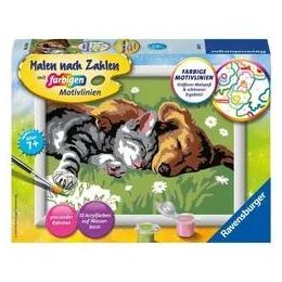 Ravensburger Malen nach Zahlen, tiefer Schlaf