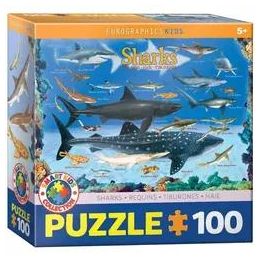 Sharks 100 Pieces Eurographics Kids 5+