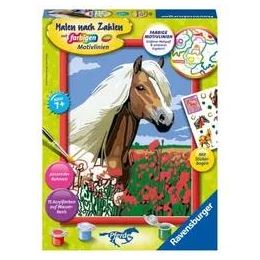 Ravensburger CreArt, Malen nach Zahlen Kinder - Haflinger