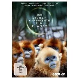 Polyband Sieben Kontinente - Ein Planet [3 DVDs]