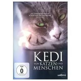 Kedi - Von Katzen und Menschen
