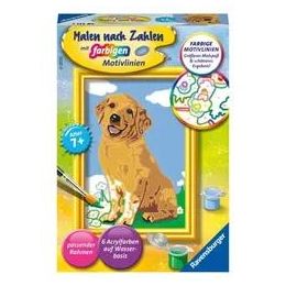 Ravensburger CreArt, Malen nach Zahlen Kinder - Kleiner Golden Retriever
