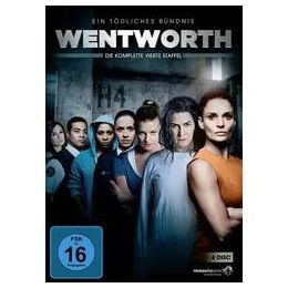 Acme Wentworth - Staffel 4 - Ein t&ouml;dliches B&uuml;ndnis [4 DVDs]
