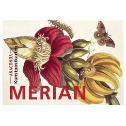 Postkarten-Set Maria Sibylla Merian