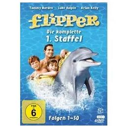 Flipper - Die komplette 1. Staffel (Fernsehjuwelen) [4 DVDs]