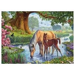 Eurographics Fell Ponies von Steve Crisp 1000T