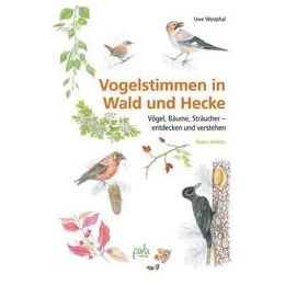 Pala Vogelstimmen in Wald und Hecke