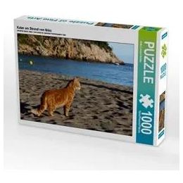 Calvendo Katze am Strand von Ibiza (Puzzle)