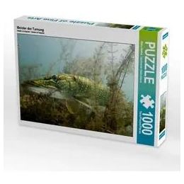 Calvendo Puzzle Meister der Tarnung 1000 Teile Lege-Gr&ouml;&szlig;e 64x48cm Foto-Puzzle f&uuml;r gl&uuml;ckliche Stunden