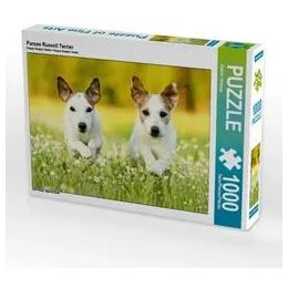 Calvendo Parson Russell Terrier (Puzzle)