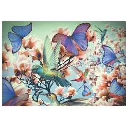 Puzzle Ravensburger Hummingbird Moment 300 Teile
