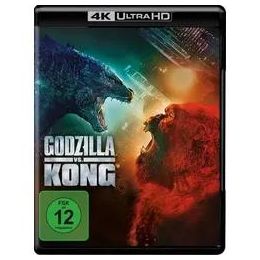 Godzilla vs. Kong (+ Blu-ray 2D)