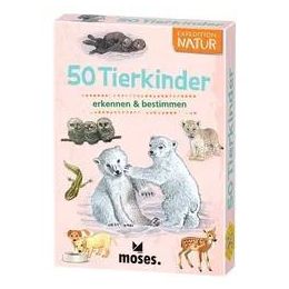 moses Expedition Natur 50 Tierkinder