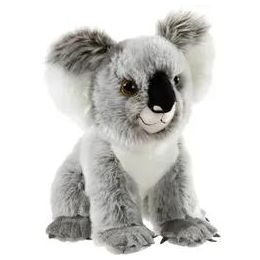 Heunec - Bedrohte Tiere - Koala