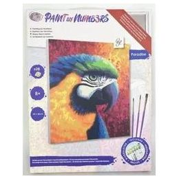 CRAFT Buddy PBN3040E - Paint by Numbers, Paradise, Papagei, 30x40 cm
