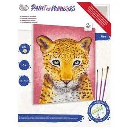 Craft Buddy PBN3040D - Paint by Numbers, Rise, Tiger, 30x40 cm