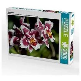 Calvendo Orchideen (Puzzle)