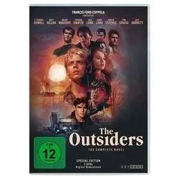 PLAION The Outsiders - Special Edition - Digital Remastered [2 DVDs]