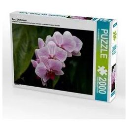 Calvendo Rosa Orchideen (Puzzle)