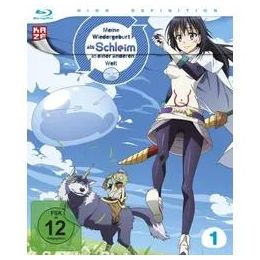 Meine Wiedergeburt als Schleim in einer anderen Welt - Blu-ray Vol. 1