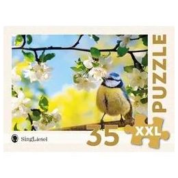 Demenz-Puzzle: Blaumeise im Fr&uuml;hling. Das Demenz-Puzzle-Spiel mit 35 Puzzle-Teilen im XXL-Format.