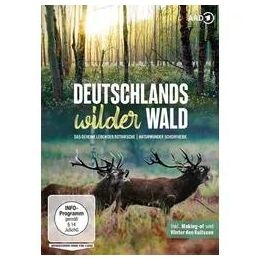 Deutschlands wilder Wald: Das geheime Leben der Rothirsche / Naturwunder Schorfheide