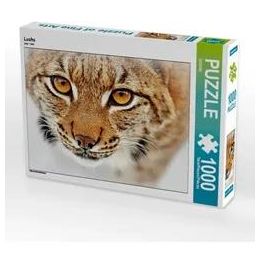 Calvendo Luchs (Puzzle)