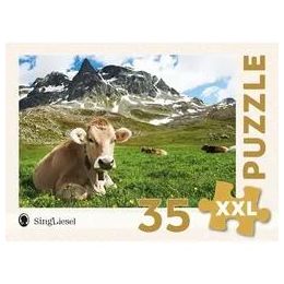 Demenz-Puzzle: Alpen. Das Demenz-Puzzle-Spiel mit 35 Puzzle-Teilen im XXL-Format.