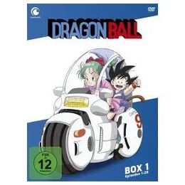 Dragonball - Die TV-Serie - Box 1 [4 DVDs]