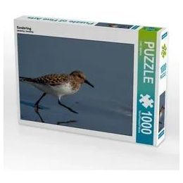 Calvendo Sanderling (Puzzle)
