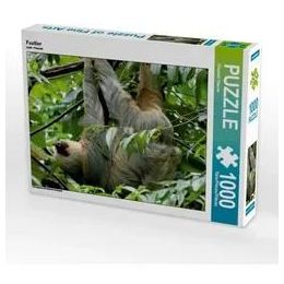 Calvendo Faultier (Puzzle)