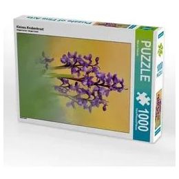 Calvendo Kleines Knabenkraut (Puzzle)