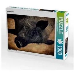 Calvendo Wildschwein (Puzzle)