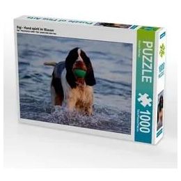 Calvendo Sigi - Hund spielt im Wasser (Puzzle)