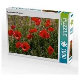 Calvendo Mohnblumen am Feldrand (Puzzle)
