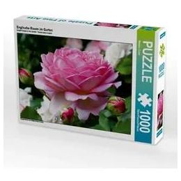 Calvendo Englische Rosen im Garten (Puzzle)