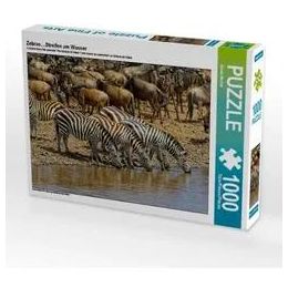 Calvendo Zebras....Streifen am Wasser (Puzzle)