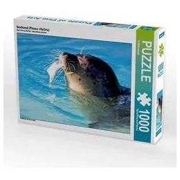 Calvendo Seehund (Phoca vitulina) (Puzzle)
