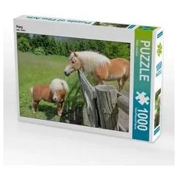 Calvendo Pony (Puzzle)