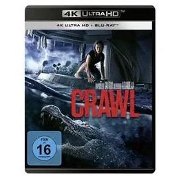 Crawl (4K Ultra HD) (+ Blu-ray)
