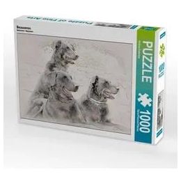 Calvendo Beauceron (Puzzle)